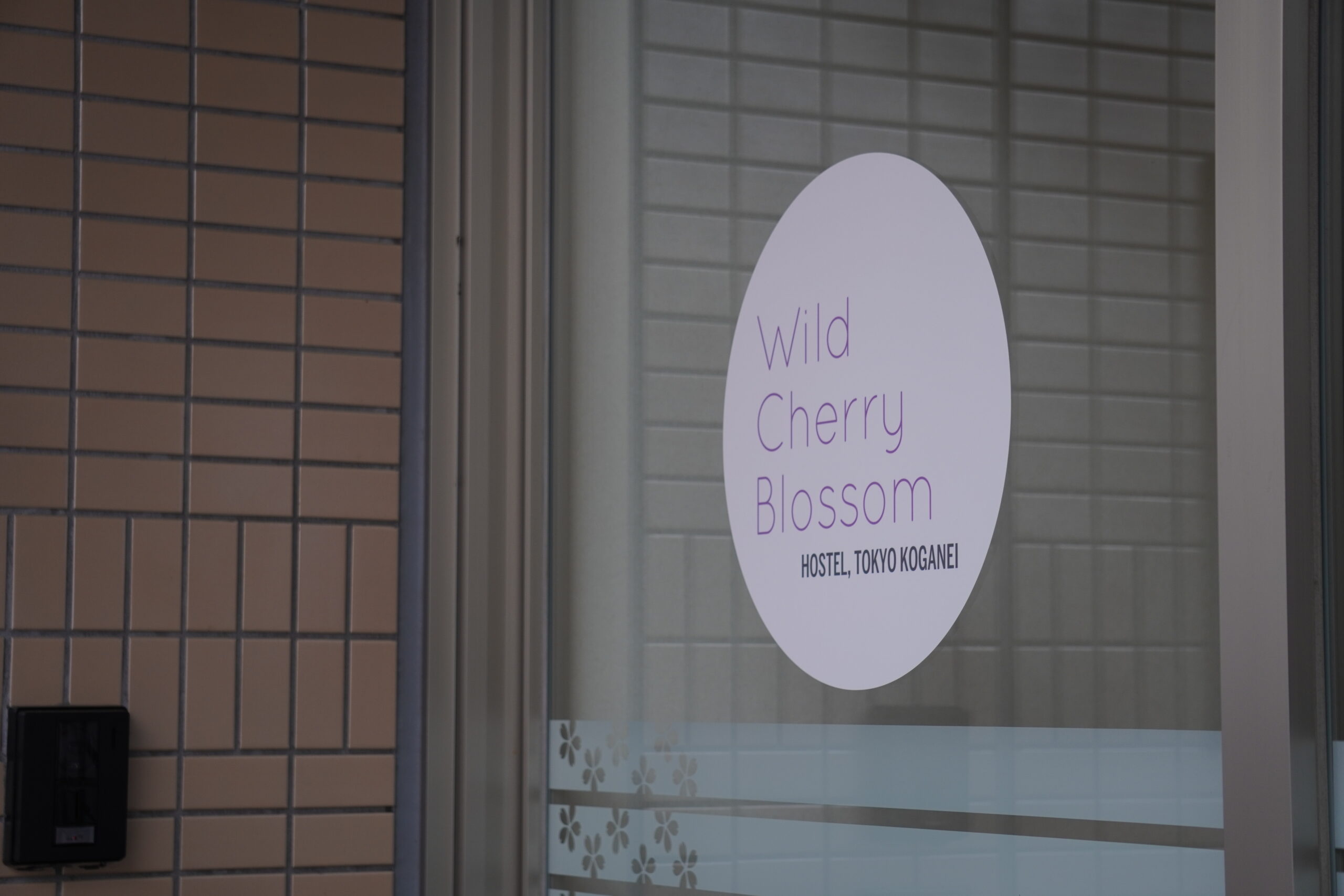 News - Wild Cherry Blossom Hostel